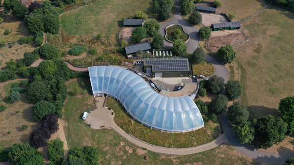 Large Scale Renewable Energy benefits district’s Zoo - Winchester City Council